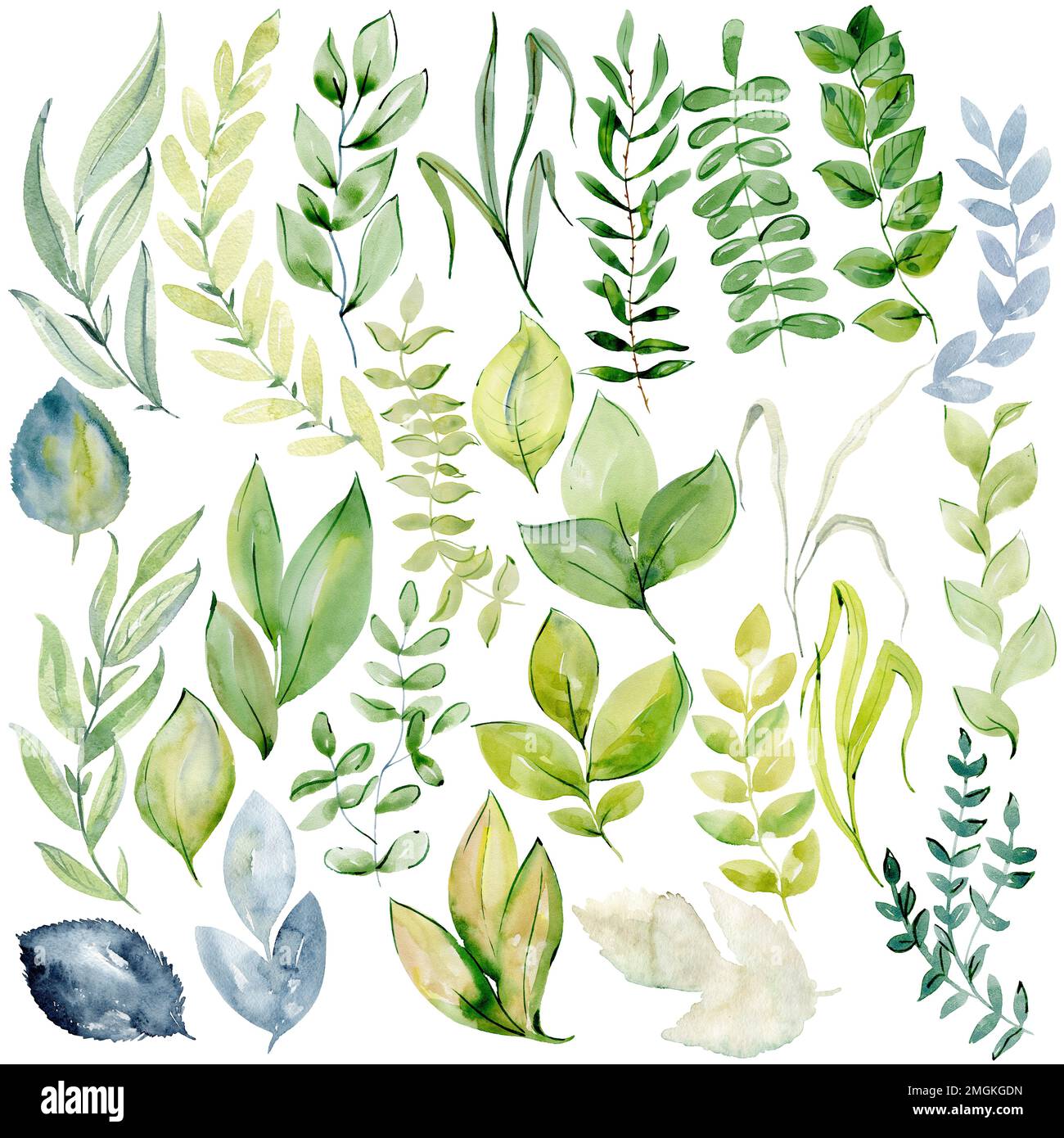 Watercolor set of green leaves and branches Stock Photo - Alamy