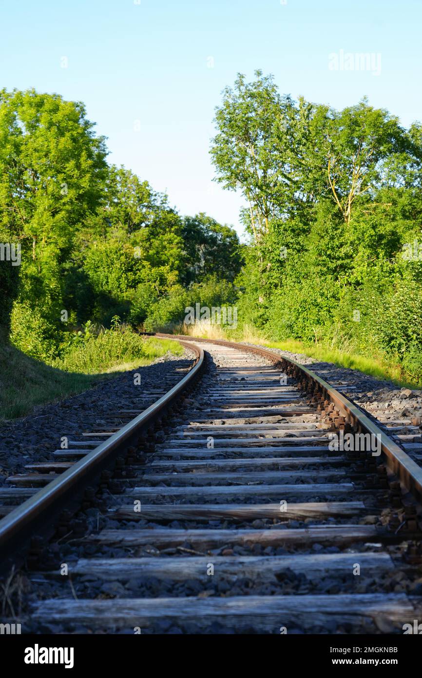 Tracks in nature hi-res stock photography and images - Alamy