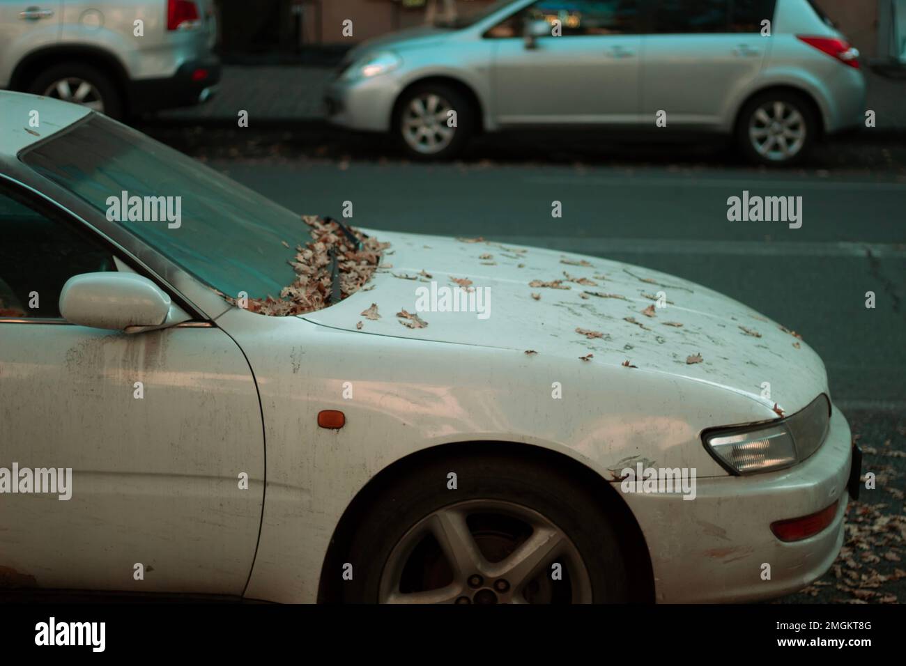 old white dirty car with leaves on it in the streets of Yerevan Stock ...