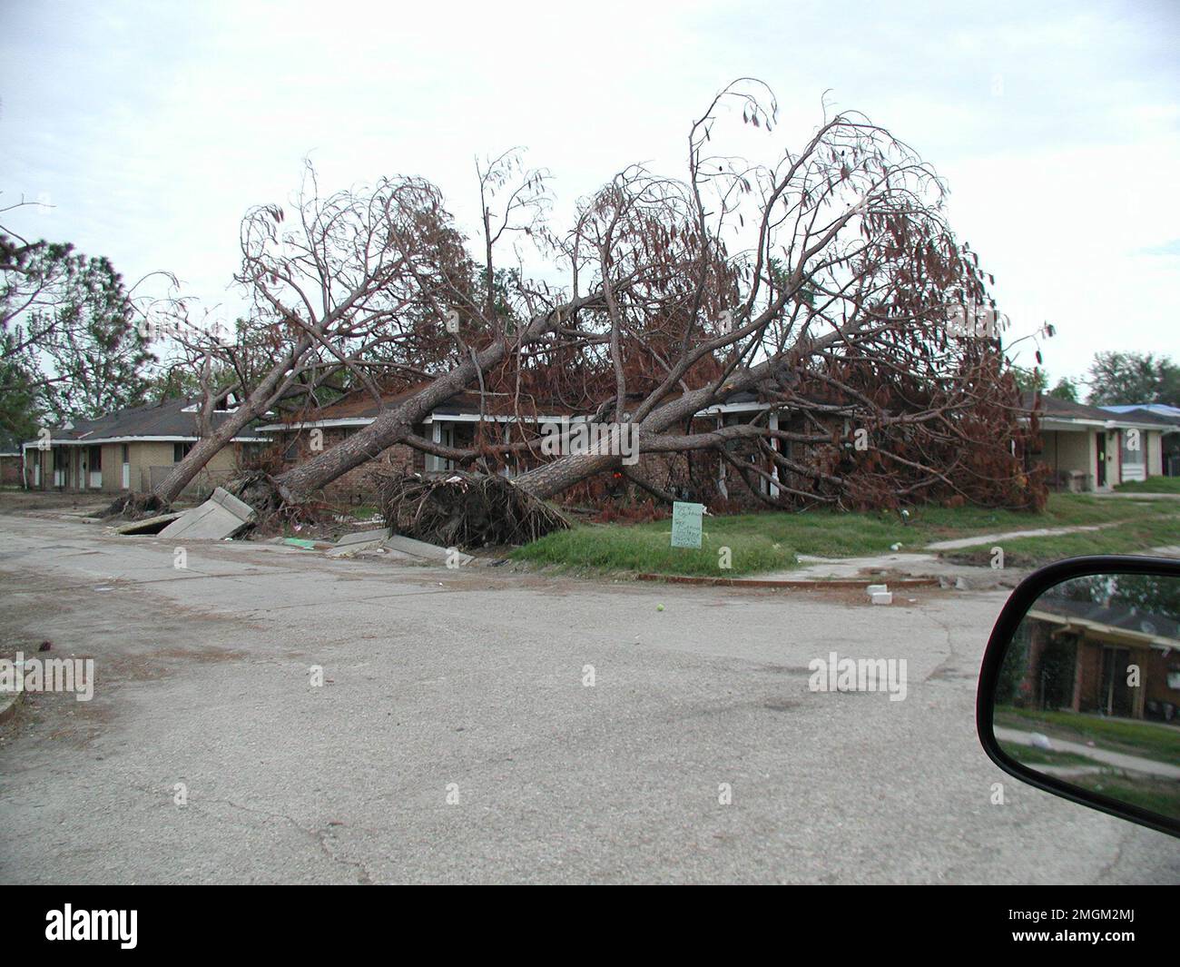 Aftermath - Miscellaneous - 26-HK-48-21. large overturned trees on ...