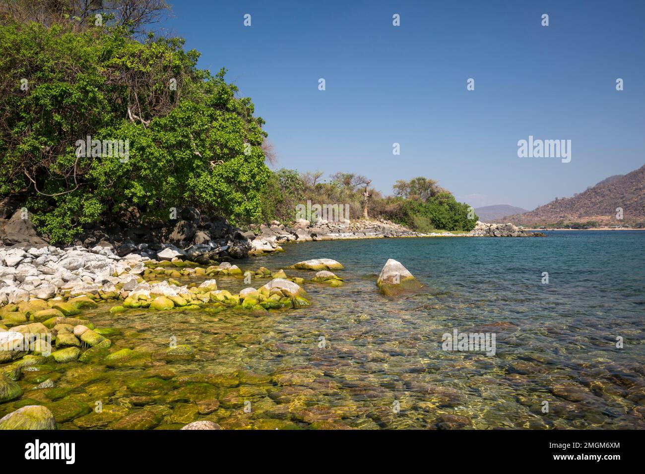 Rocky coast and vegetation at Thumbi West island, Lake Malawi, Malawi ...