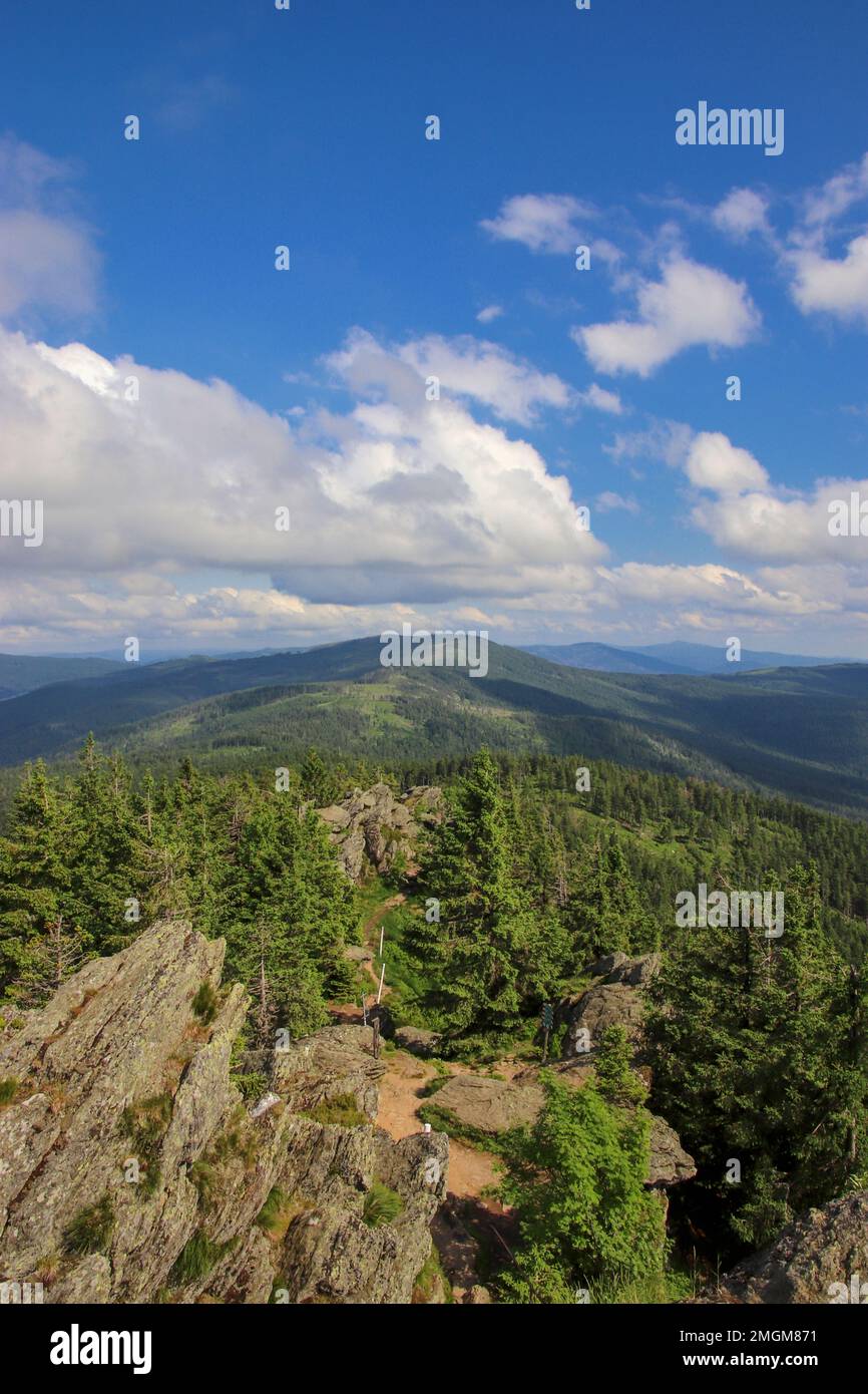 Grosser osser hi-res stock photography and images - Alamy