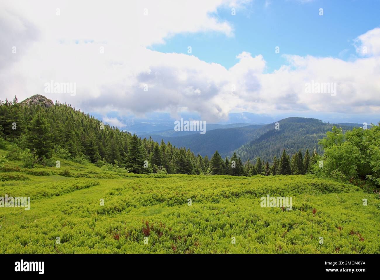 A beautiful view to the landscape after morning fogs from the peak of ...