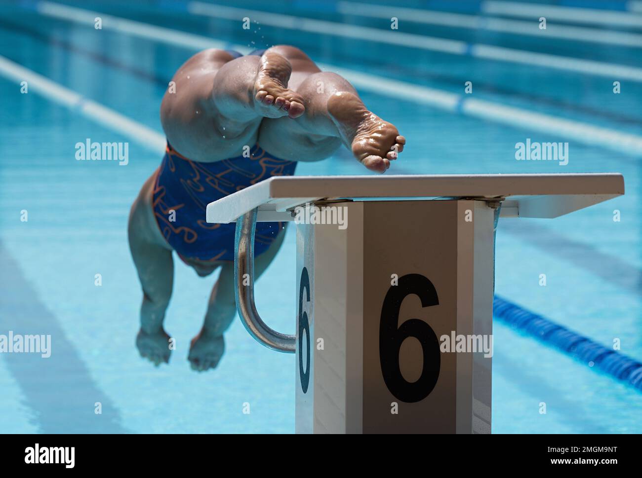 Female swimmer jumps off starting block and start swims in pool Stock ...