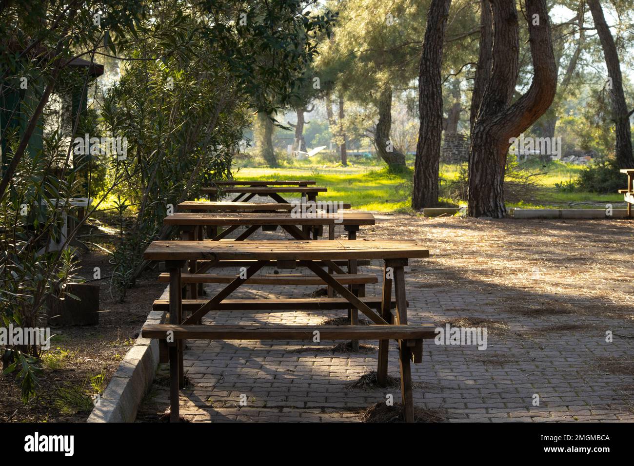 Wooden tables and benches arranged in a row stretching into the ...