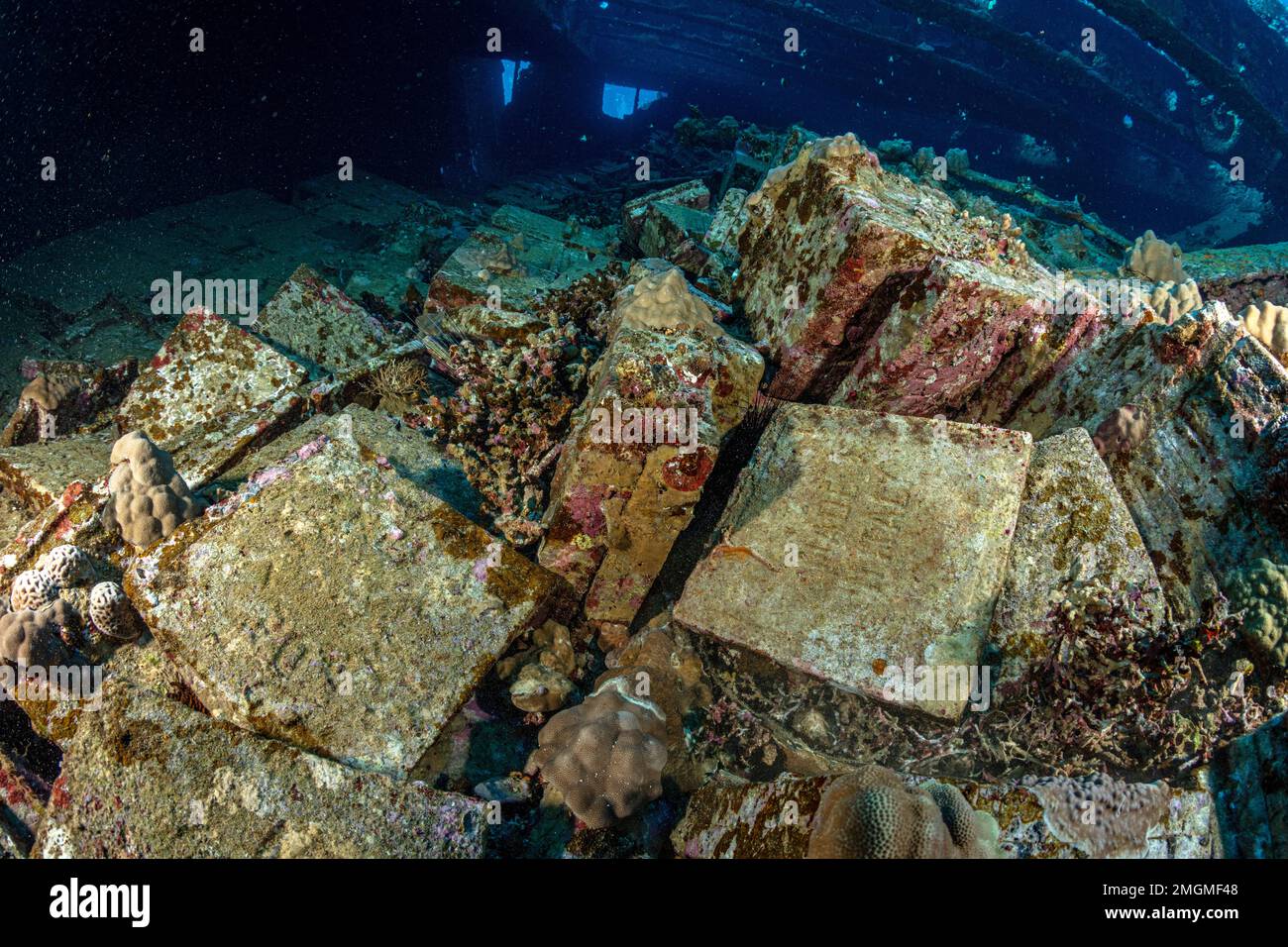 The Tile from which the wreck takes its second name. Chrisoula K, ?The ...