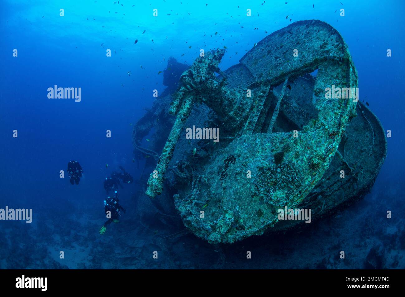 40MM anti-aircraft machine gun on SS Thistlegorm wreck a British cargo ...