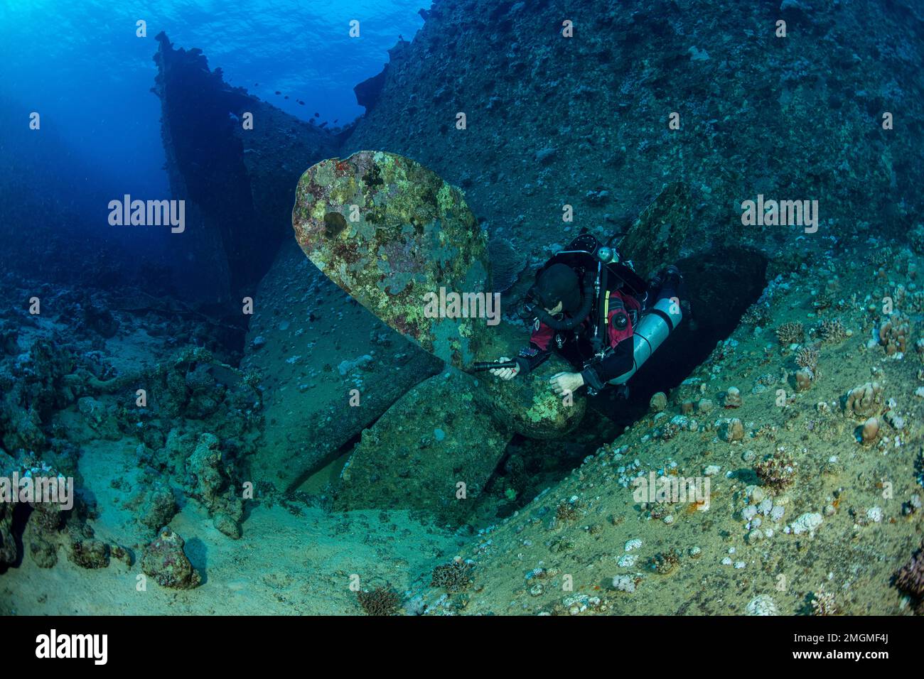 Rebreather diver exploring the propeller of the Chrisoula K, ?The Tile ...