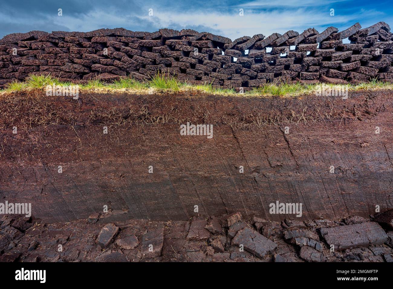 Peat blocks lined up and drying in the sun, on the island of Yell in ...