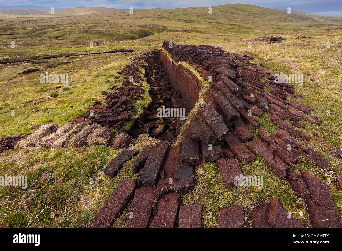 Peat blocks lined up and drying in the sun, on the island of Yell in ...