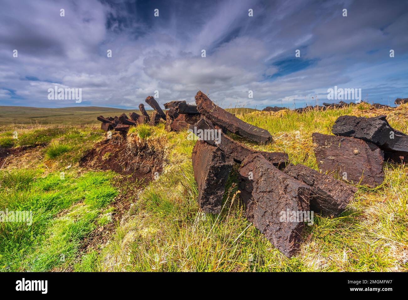 Peat blocks lined up and drying in the sun, on the island of Yell in ...