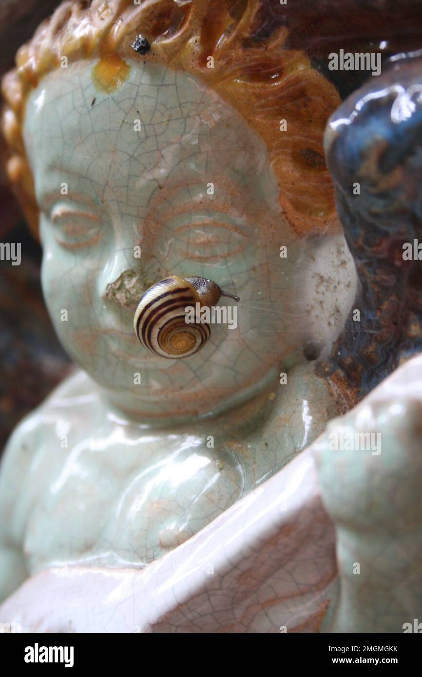 Deal of a slug on a ceramic angel figurine Stock Photo - Alamy