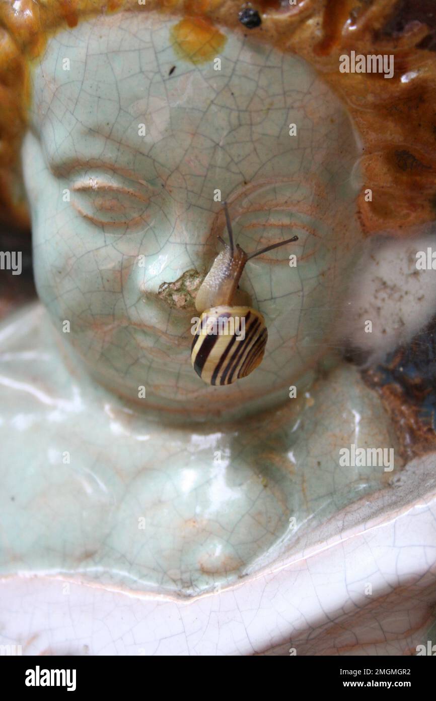 Deal of a slug on a ceramic angel figurine Stock Photo - Alamy
