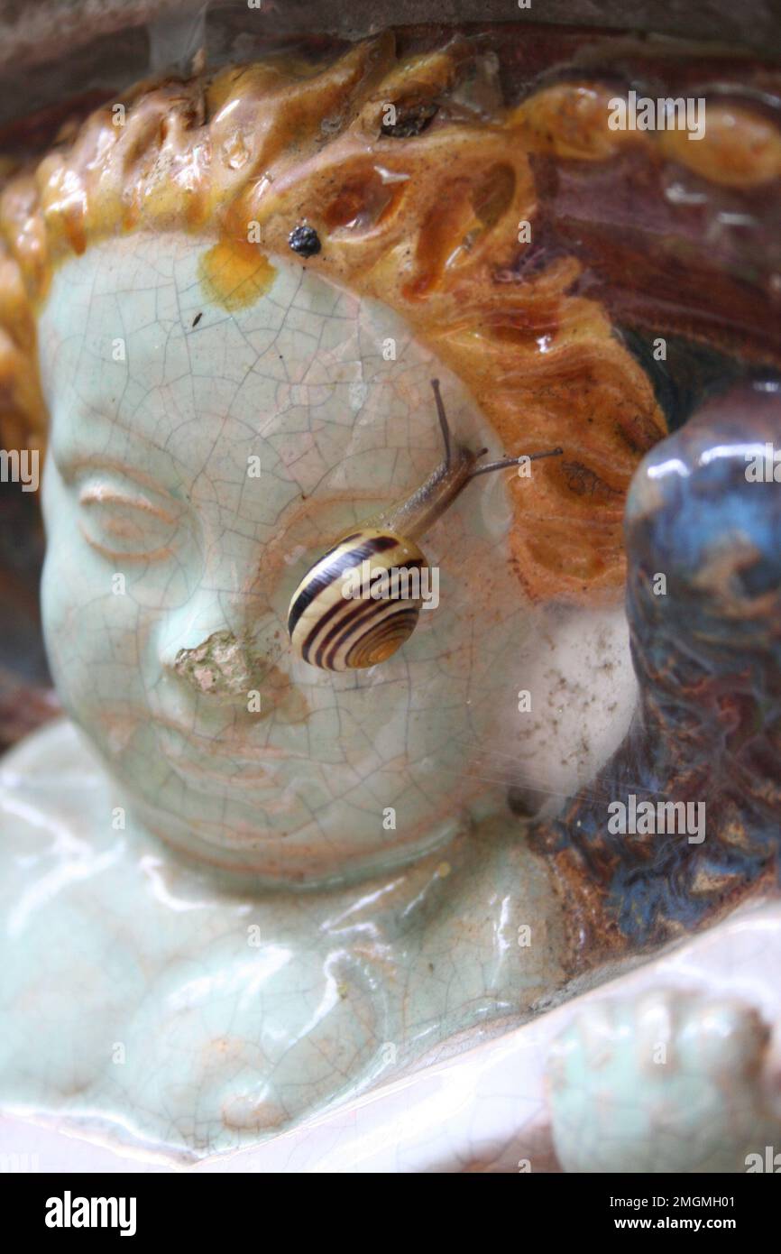 Deal of a slug on a ceramic angel figurine Stock Photo - Alamy