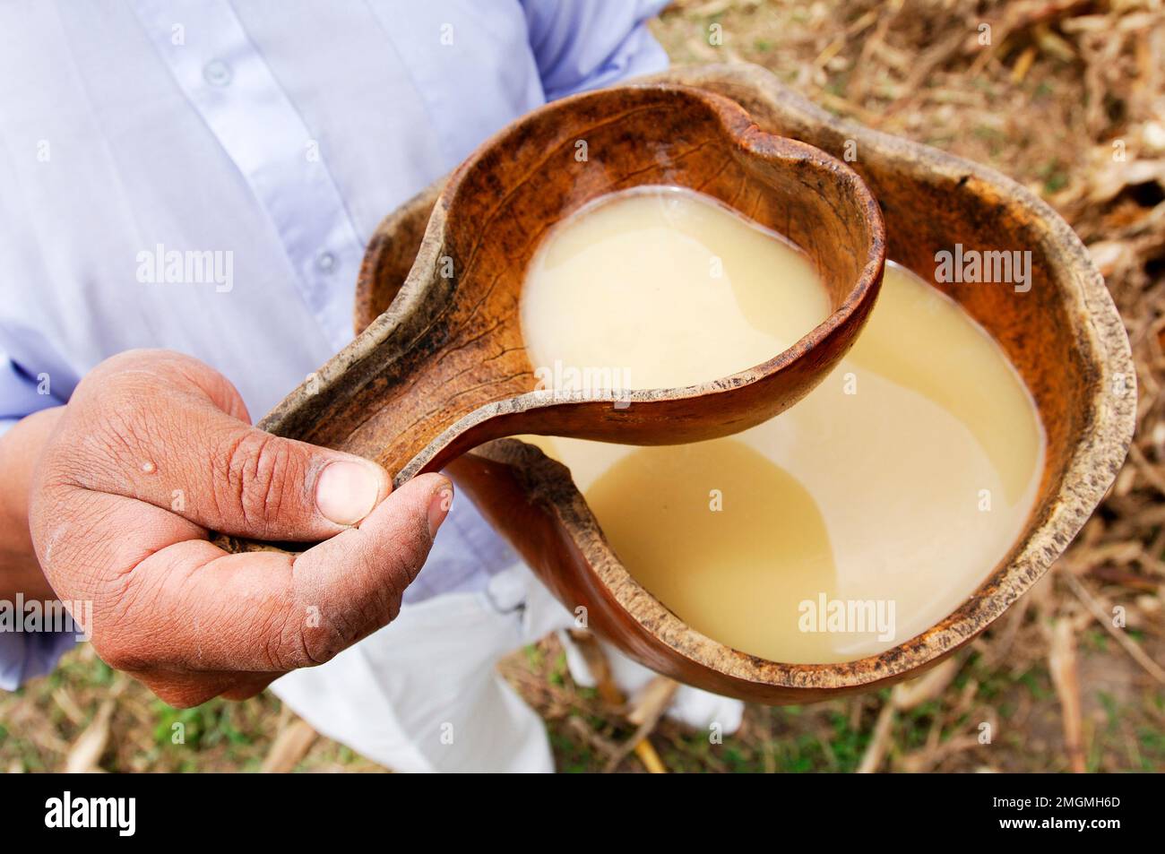 People of a quechua village drinking chicha, a beer made with corn ...
