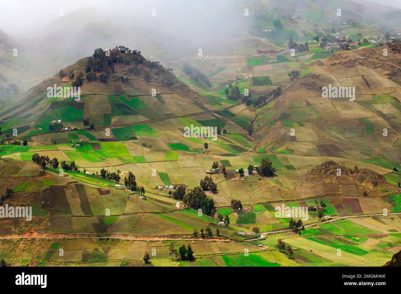 View of the paramo, typical andean landscape. Andes. Ecuador Stock ...