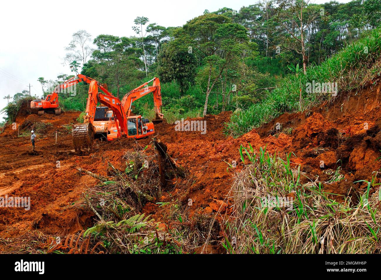 Construction of a road inside the amazonian forest. Amazonia. Ecuador ...