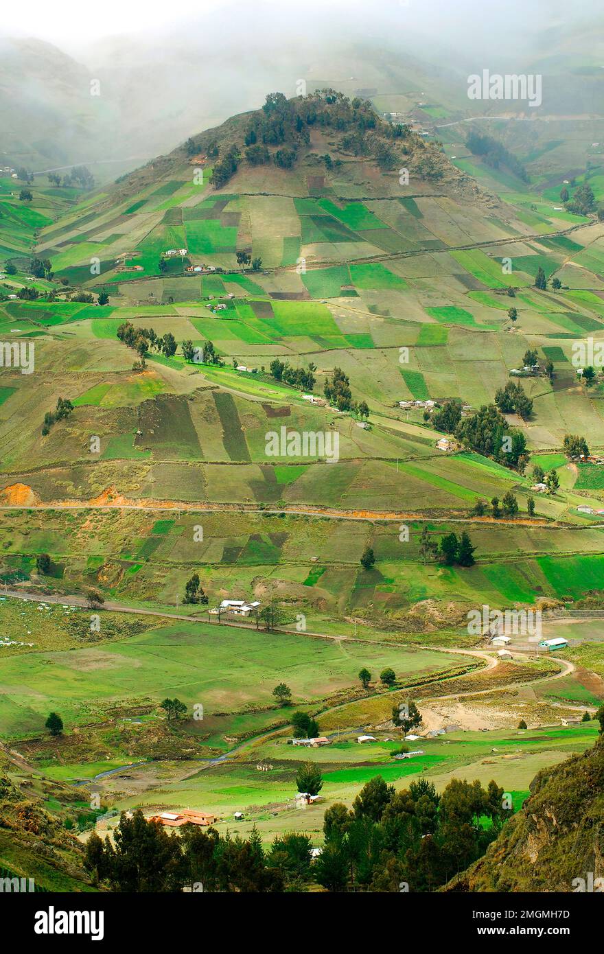 View of the paramo, typical andean landscape. Andes. Ecuador Stock ...