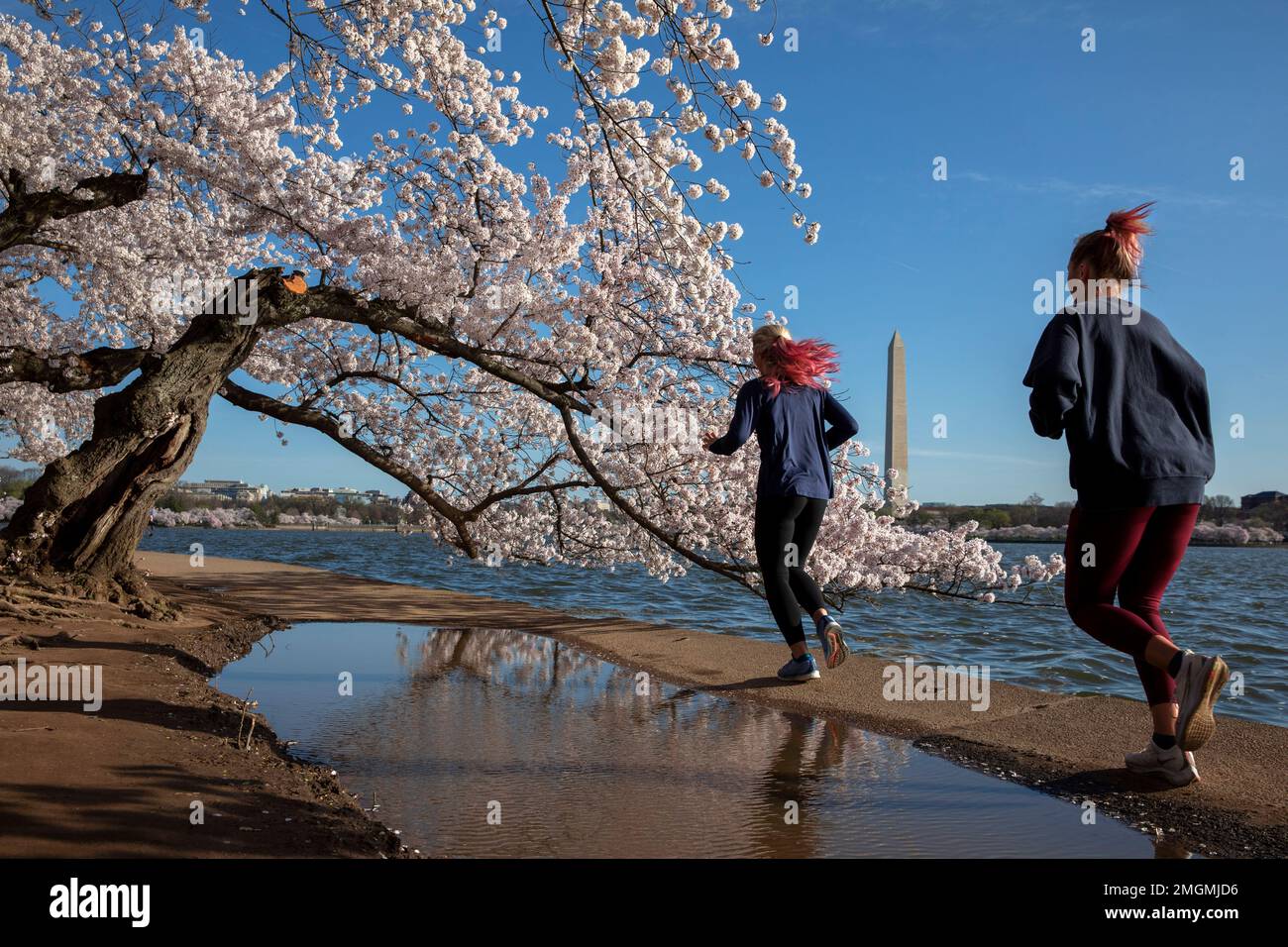Summer Thomas, 16, left, and Emily Treacy, 18, both of McLean, Va., run ...