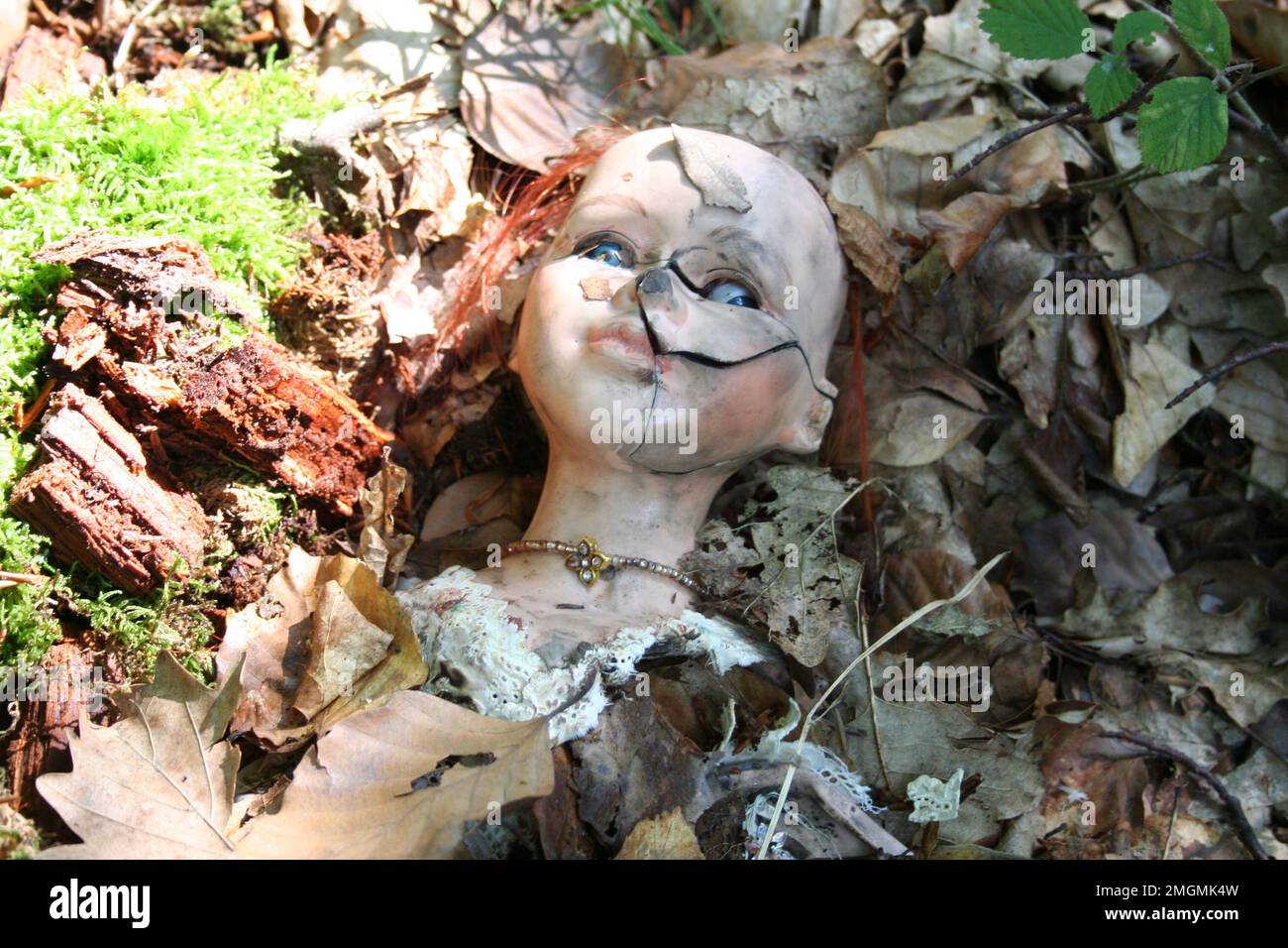 Abandoned doll in autumn forest Stock Photo - Alamy