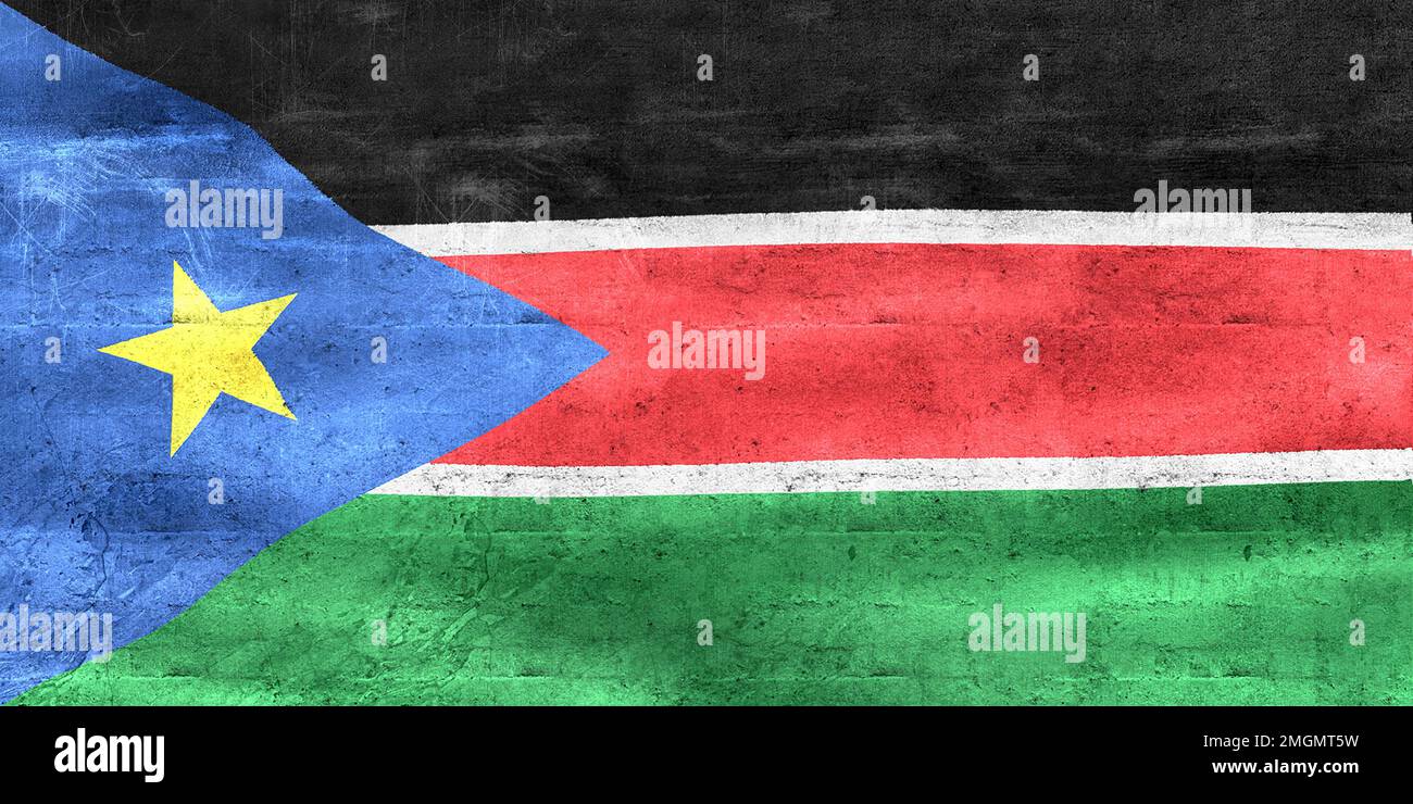 3d Illustration Of A South Sudan Flag Realistic Waving Fabric Flag