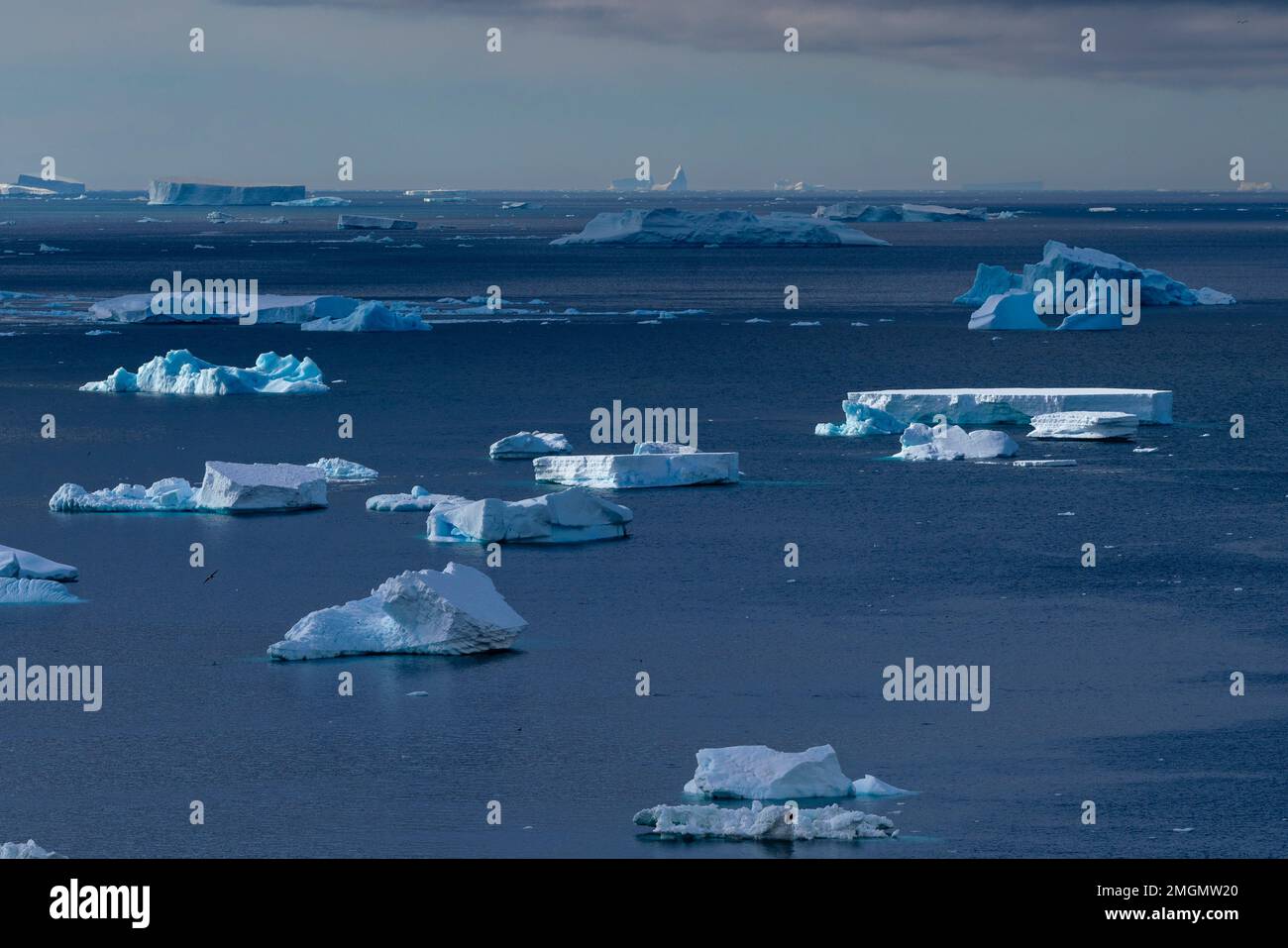Iceberg in the Weddell sea, Brown Bluff, Tabarin Peninsula, Antarctica ...