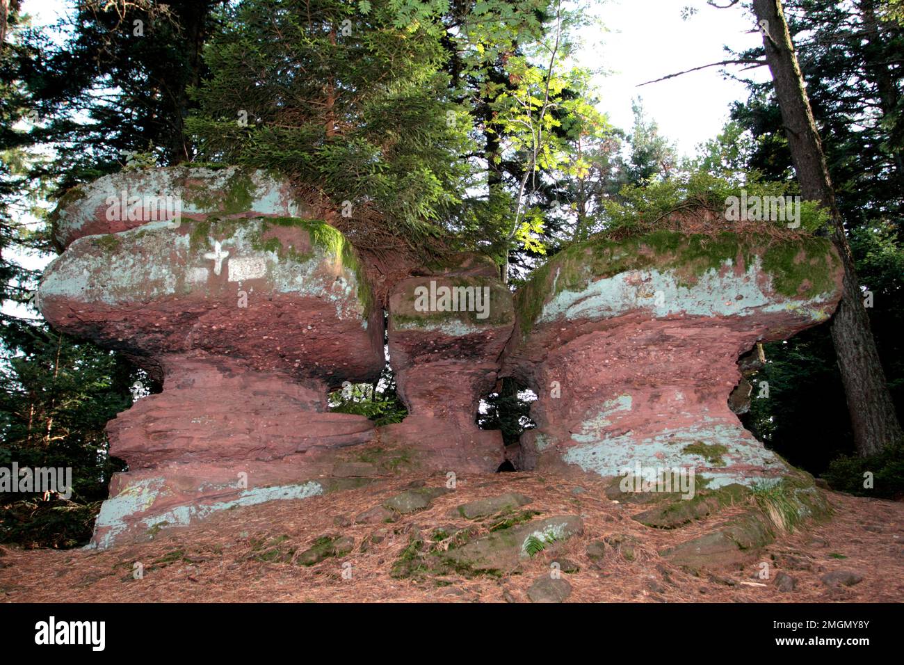 Tables, Tabular rocks, Vosges sandstone, Alsace, France Stock Photo - Alamy