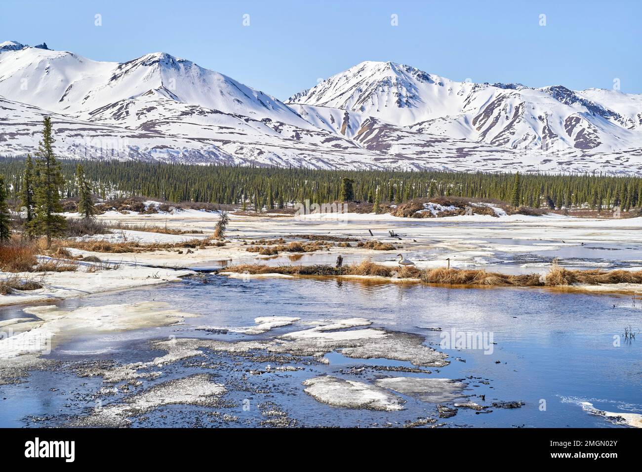 Landscape of the Alaska Range looking north in the spring, after a ...