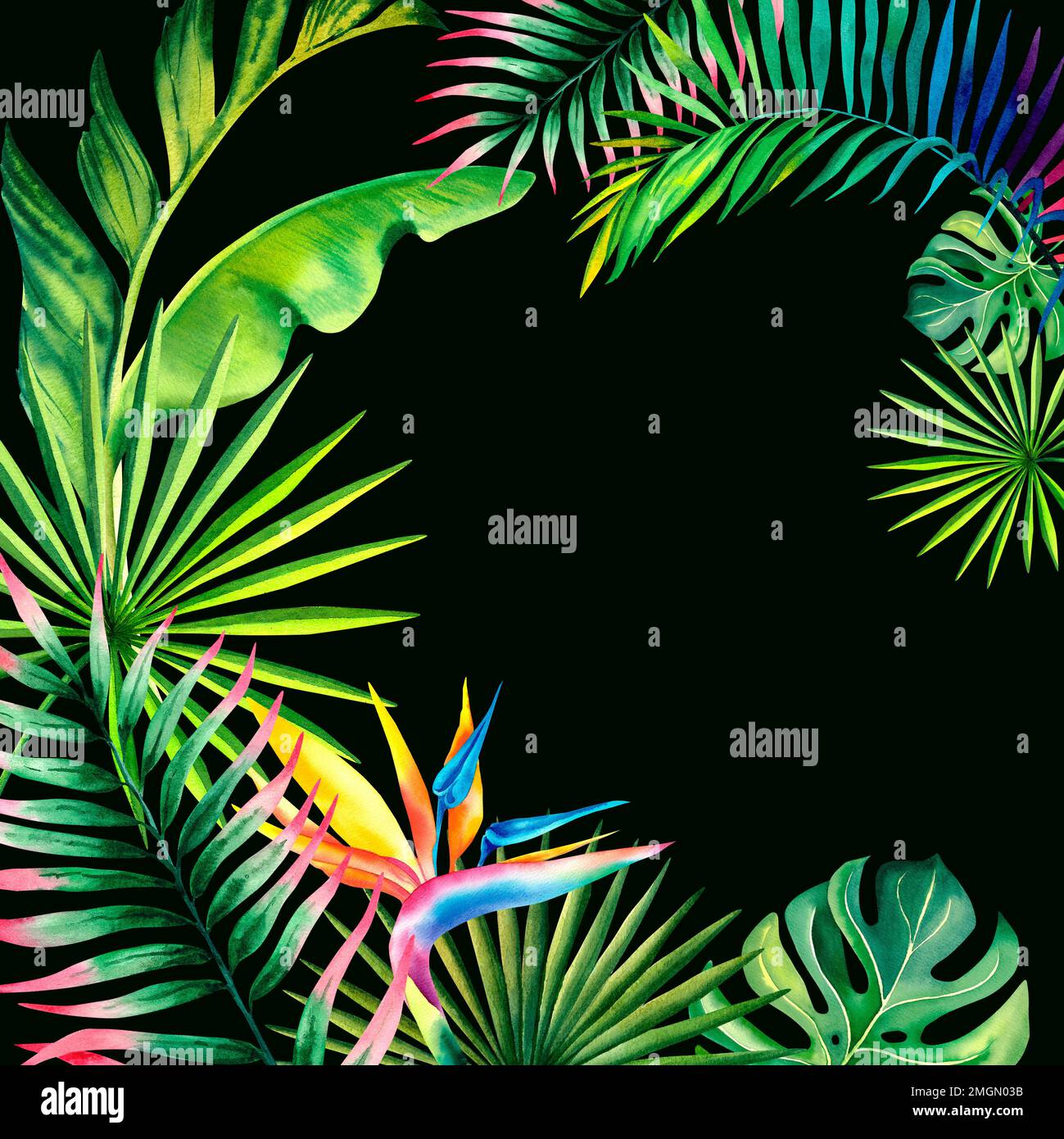 A frame made of tropical plants. Monstera, palm branch, strelitzia ...