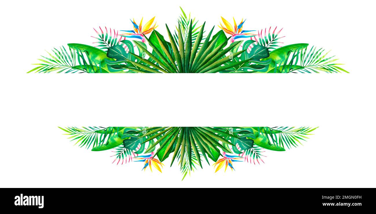 A frame made of tropical plants. Banner. Monstera, palm branch ...