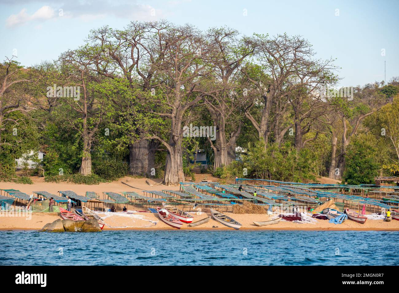 Fishing boats and lake sardines aka Usipa fish (Engraulicypris sardella ...