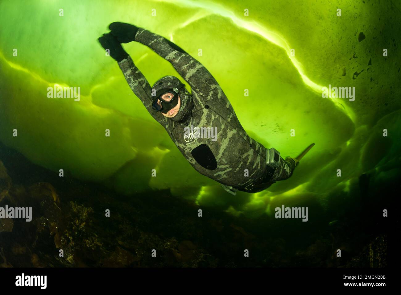 A free diver exercises dynamic apnoea below an iced platform, in the ...