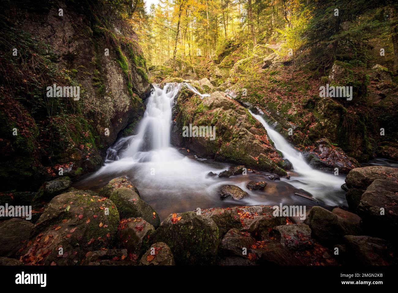 The small Tendon waterfall in autumn, Vosges, France Stock Photo - Alamy
