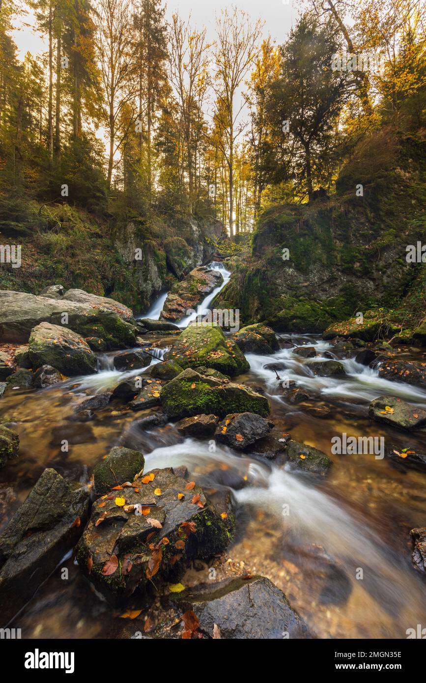 The small Tendon waterfall in autumn, Vosges, France Stock Photo - Alamy
