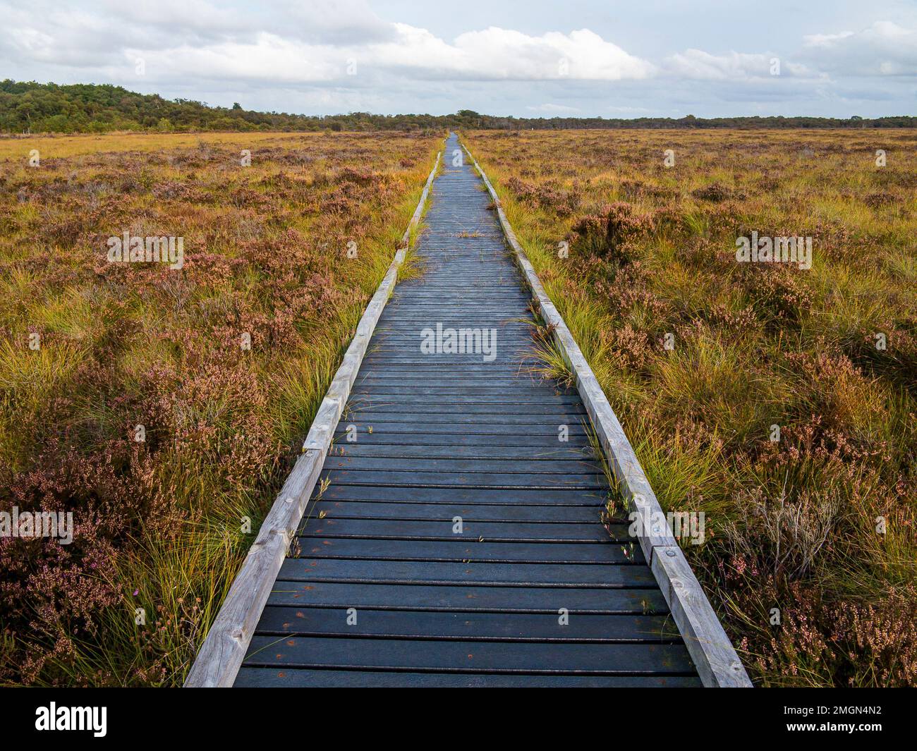 Glasson moss national nature reserve hi-res stock photography and ...