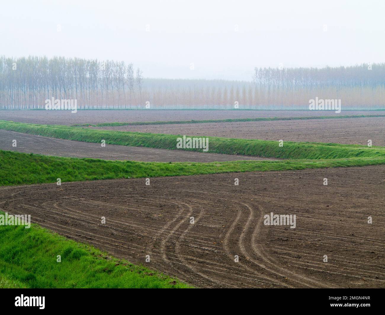 Po Valley, Italy Stock Photo - Alamy
