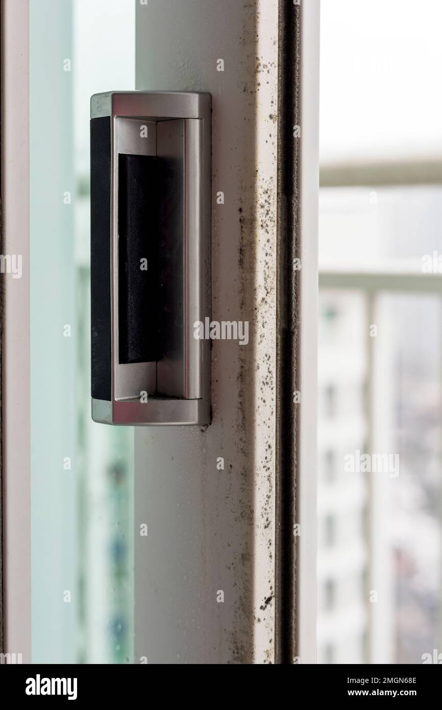 Office mould hi-res stock photography and images - Alamy