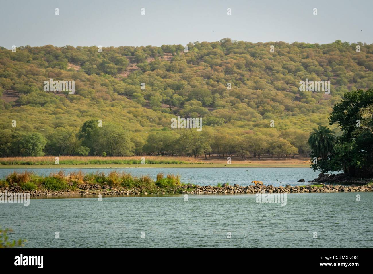 lake mountains and scenery or scenic landscape background with wild ...