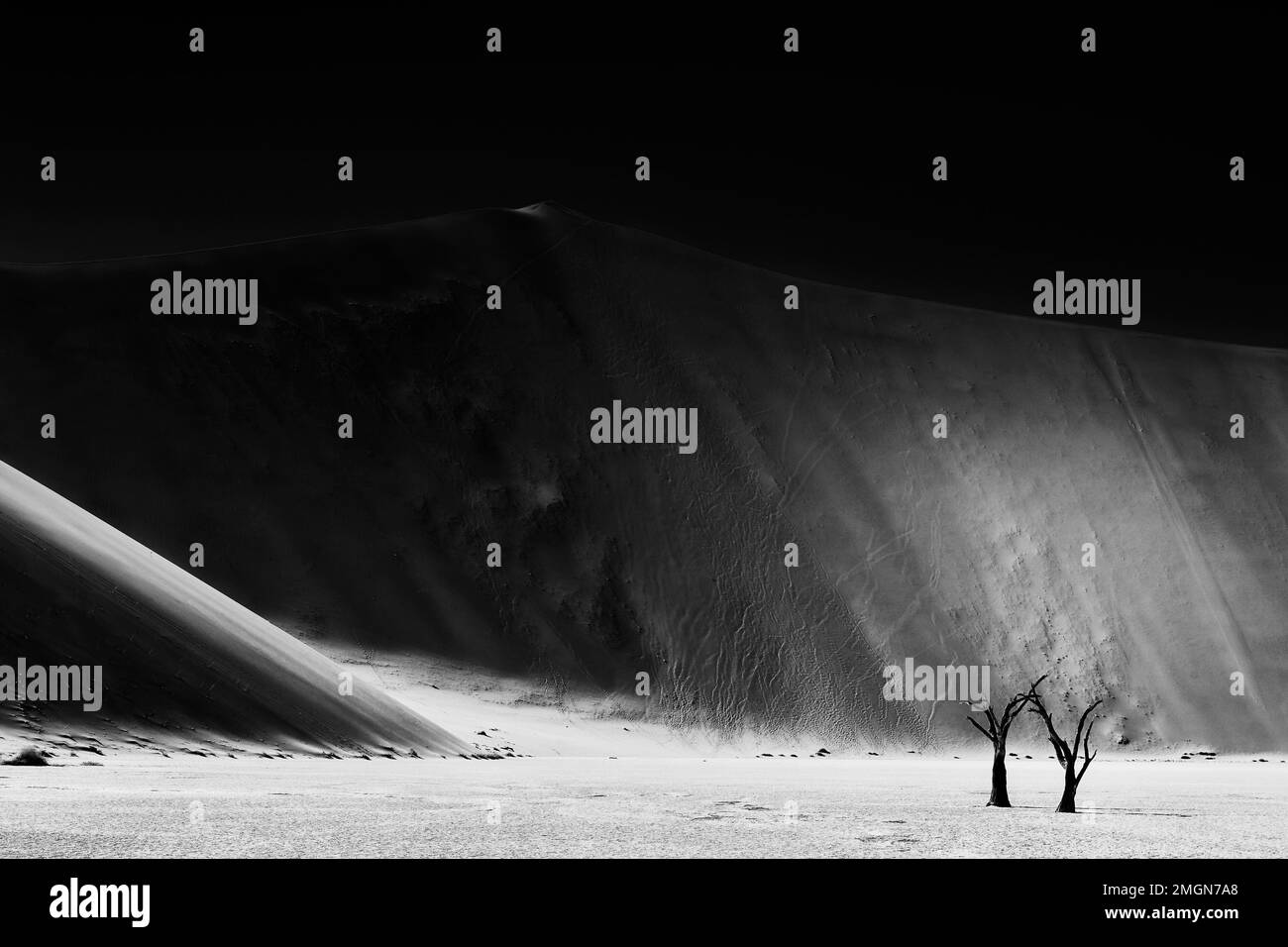 Dead Tree at Dead Vlei, Sossusvlei, Namib-Naukluft National ParK Park ...