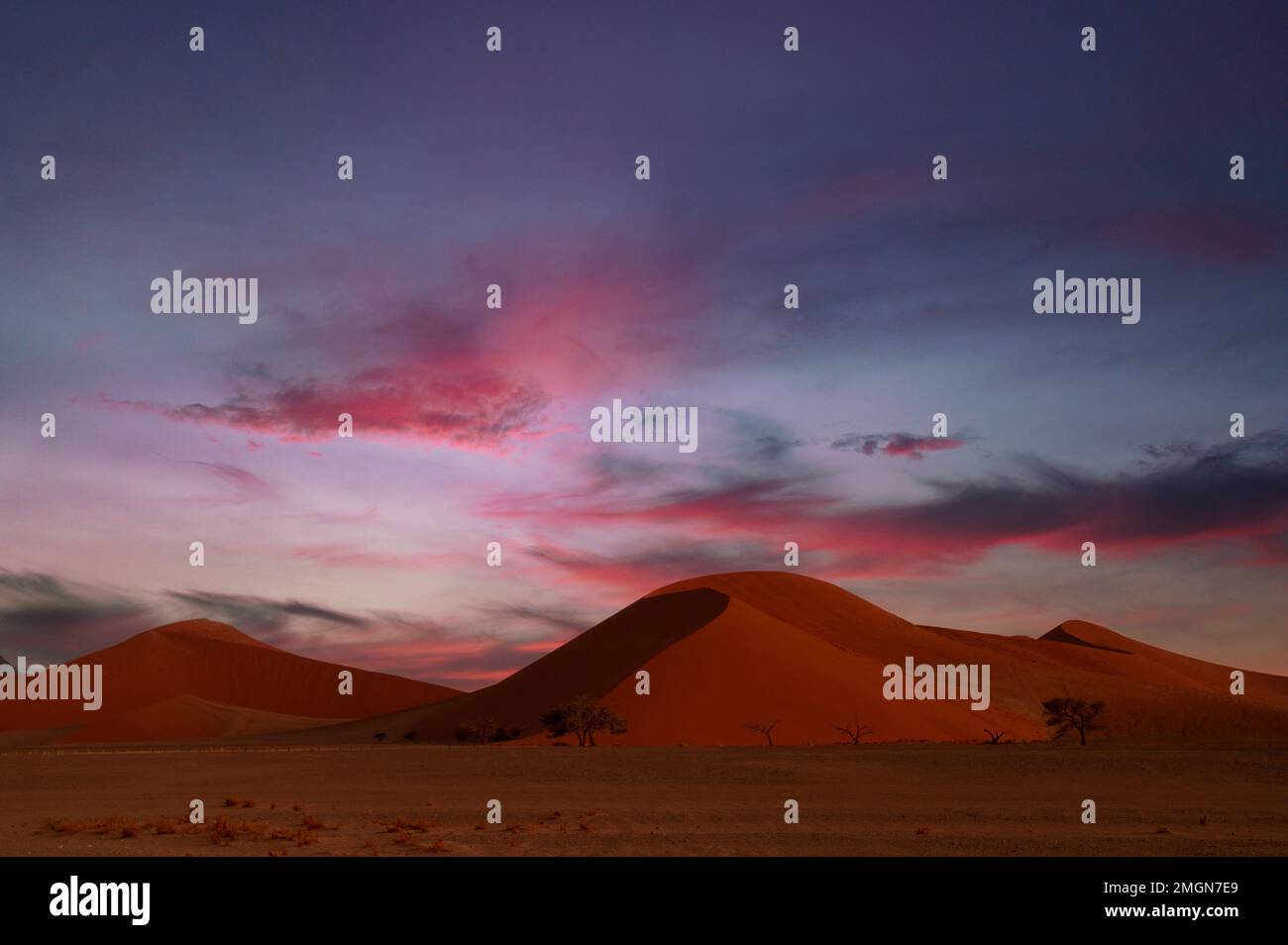 Sand dune at dusk, Namib-Naukluft National ParK Park and National ...