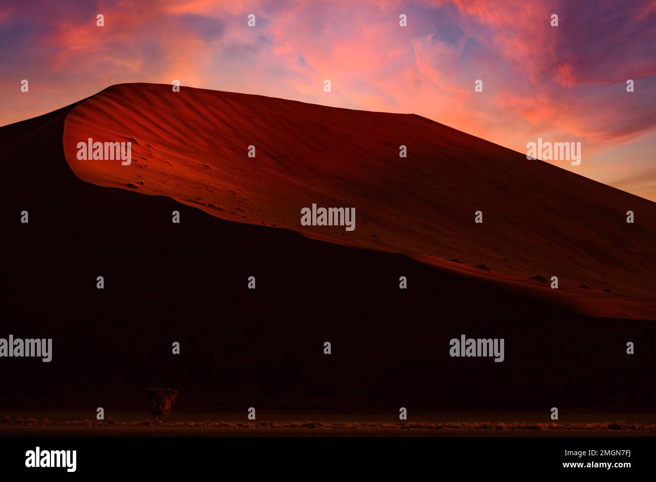 Sand dune at dusk, Namib-Naukluft National ParK Park and National ...
