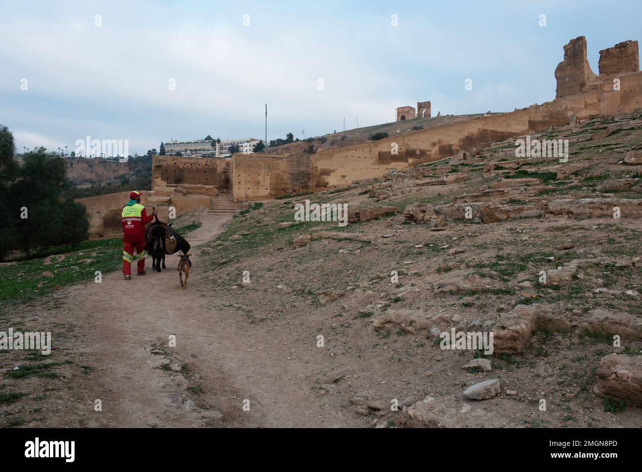 Fes the old Imperial City of Morocco at sunrise ,the Medina is the ...