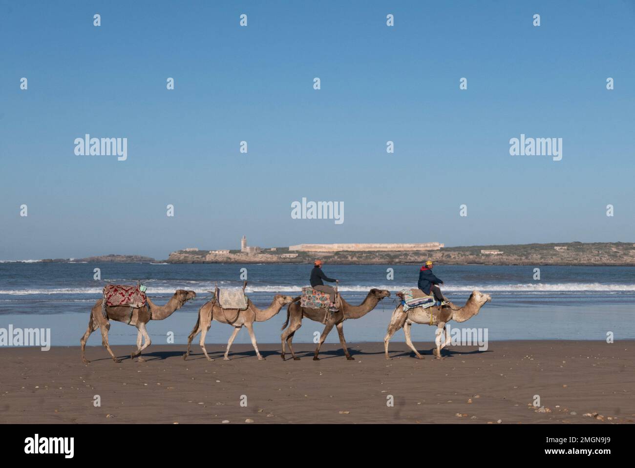 Essaouira has wonderful Medina with ramparts on the Atlantic Ocean.A ...