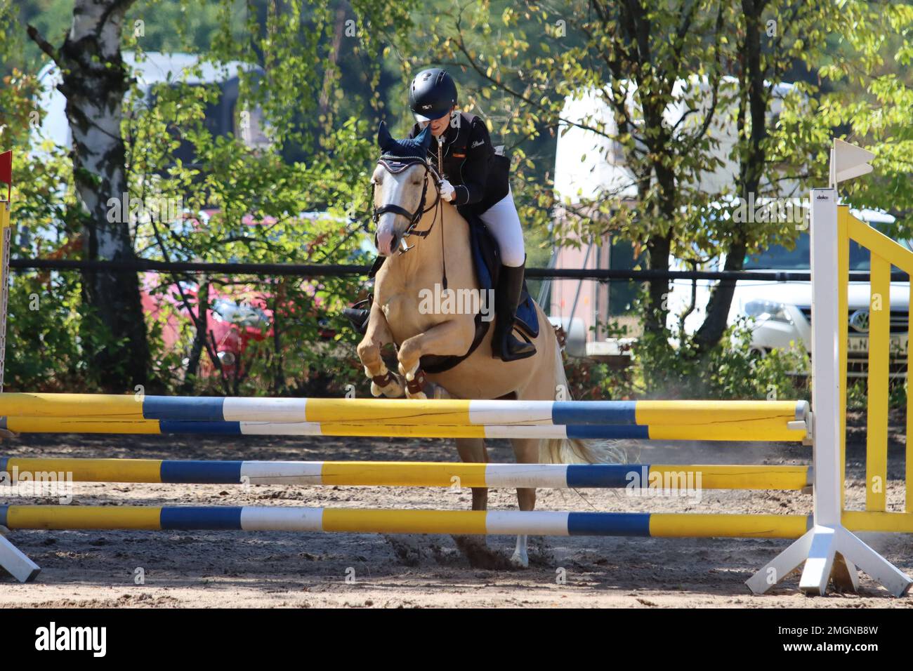 official show jumping tournaments in germany Stock Photo - Alamy