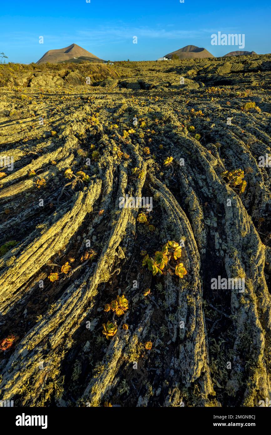 Adventitious volcano hi-res stock photography and images - Alamy