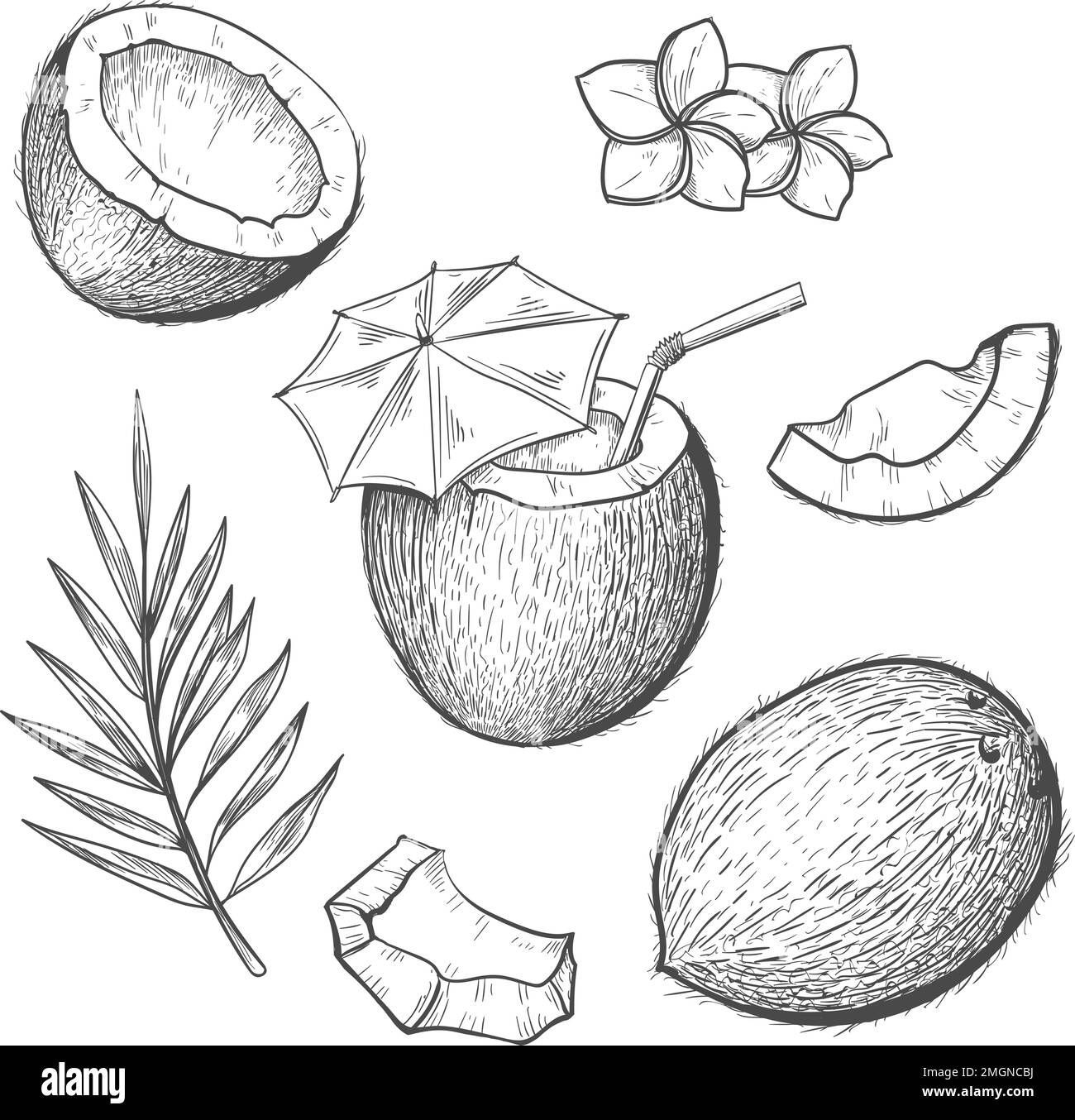Shell engraving Cut Out Stock Images & Pictures - Alamy