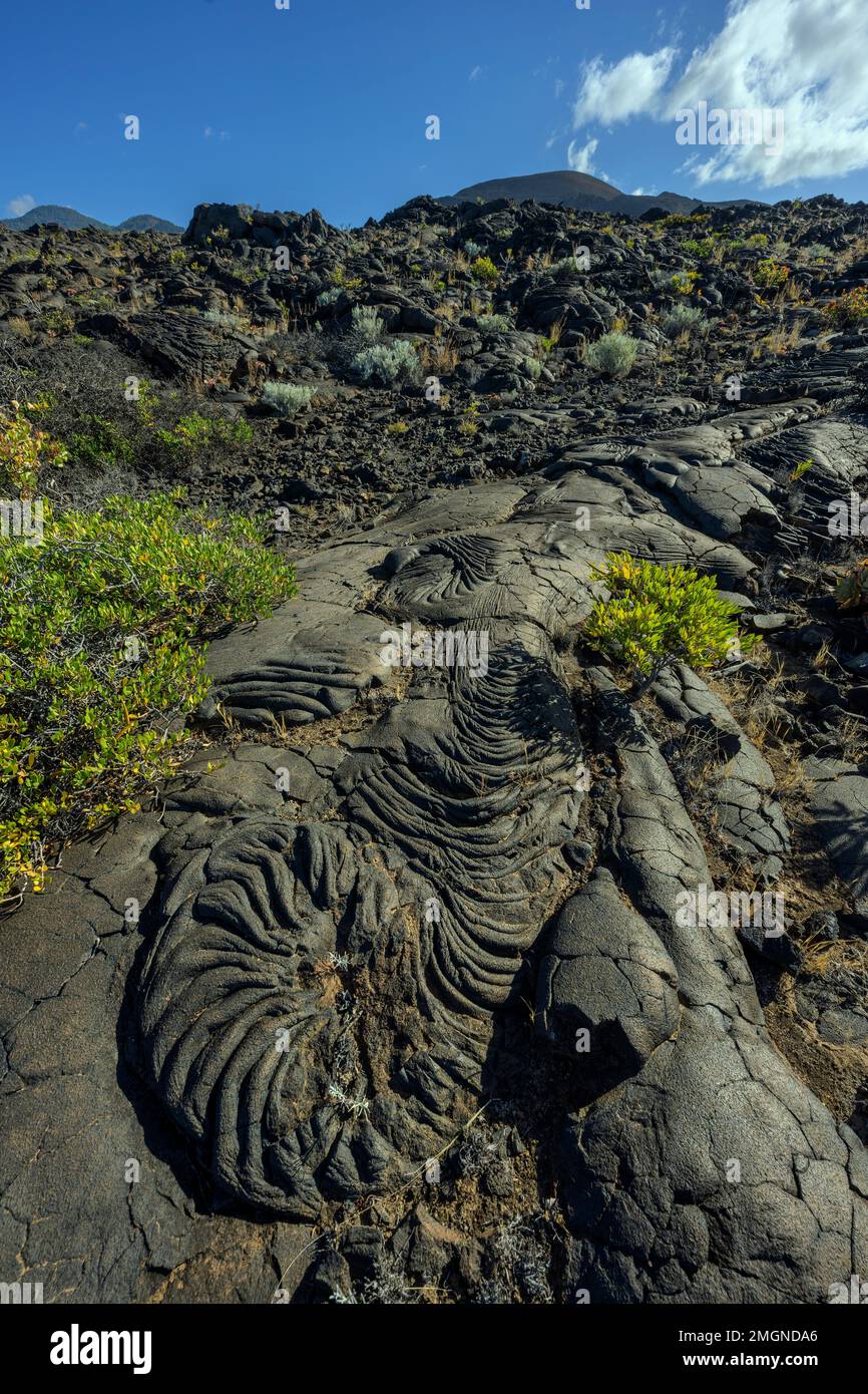 Recent cordate lavas on the island of El Herrio, Canary Islands ...