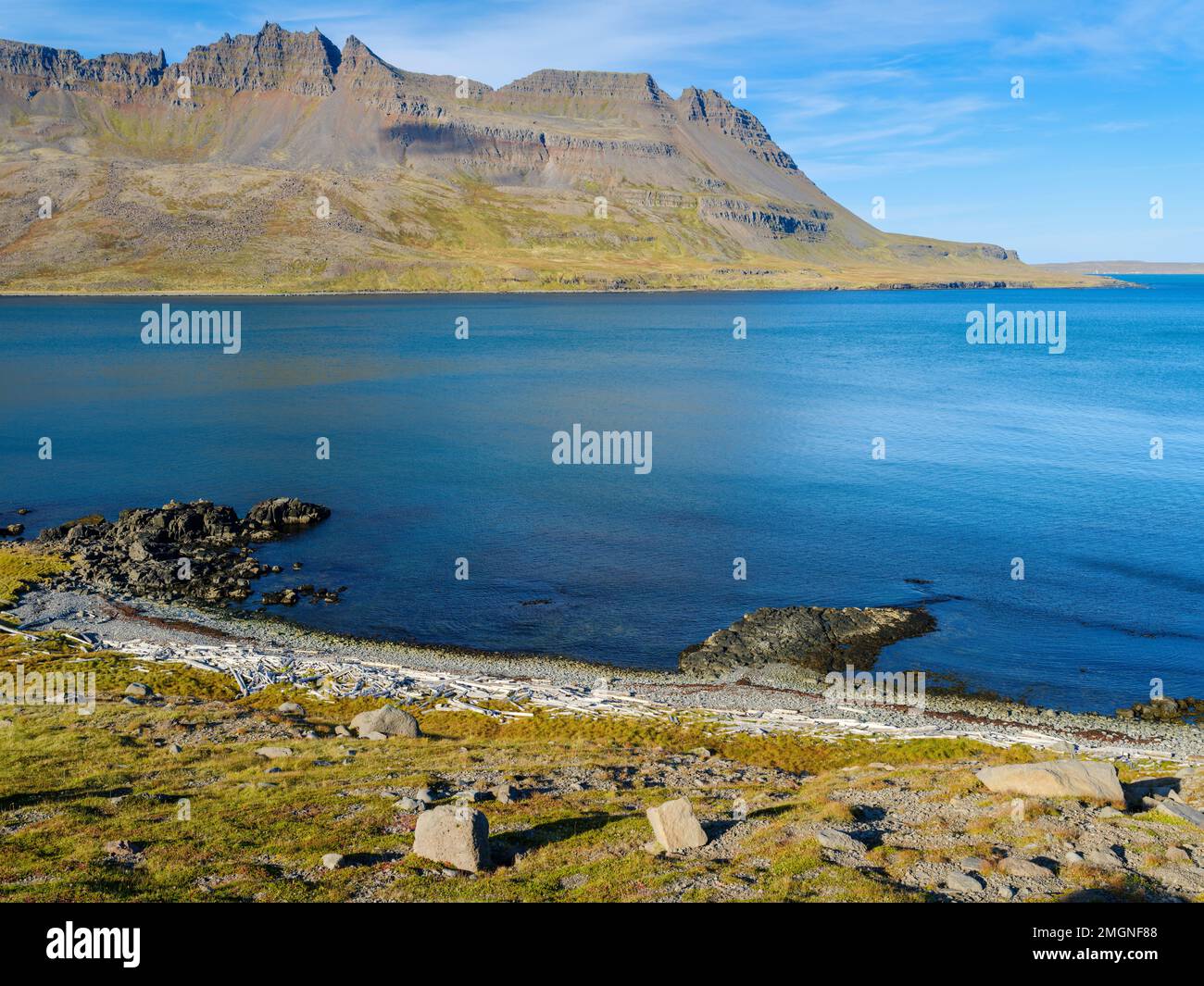 Driftwood from Sibiria. Landscape along the Strandavegur at ...