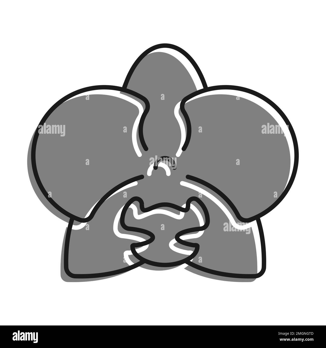 Linear filled with gray color icon. Orchid Flower, Tropical Plant With ...
