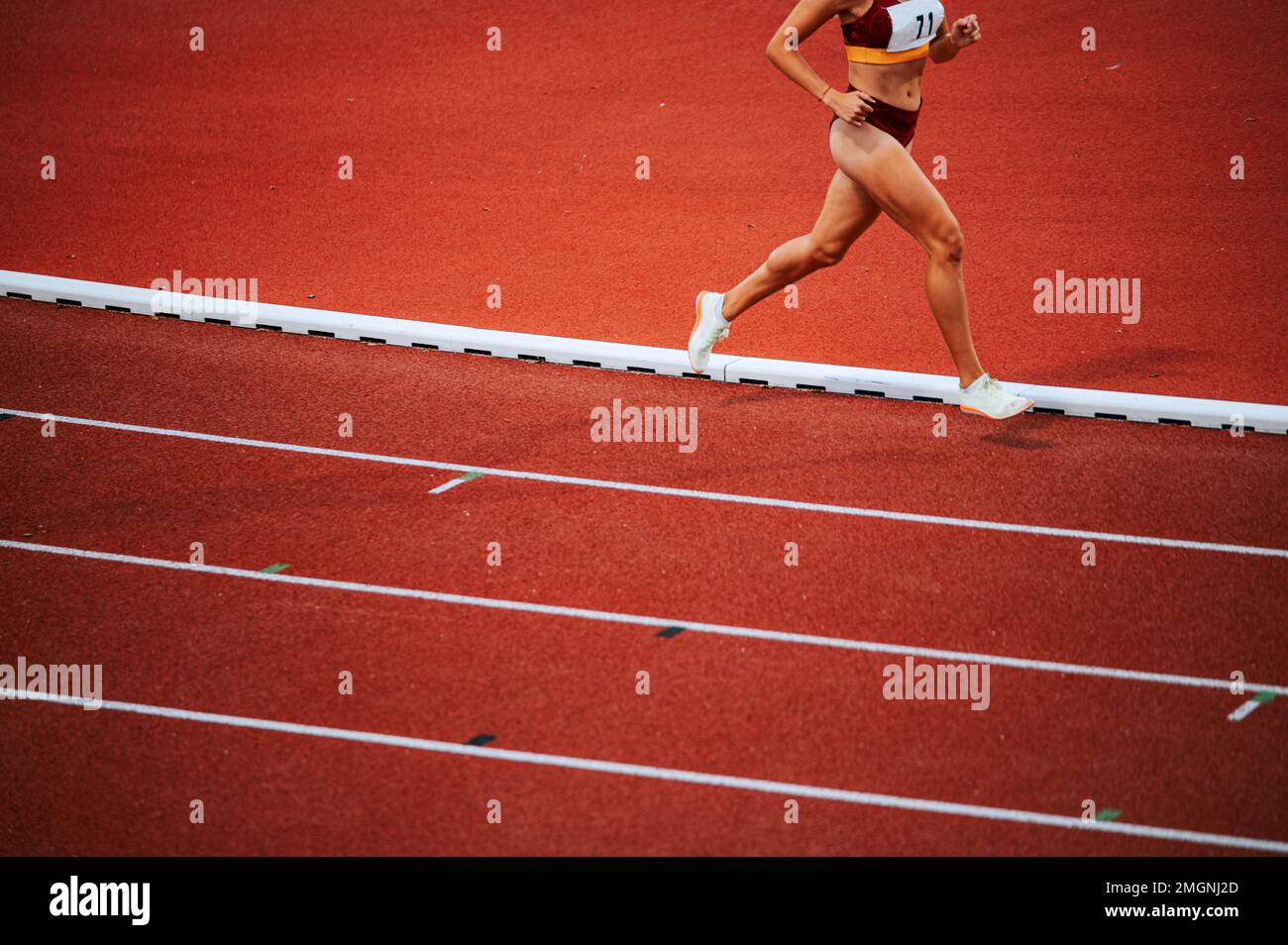 Determined female athlete legs pushing through a 1500m race on track ...